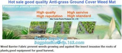 China prevent insects,tree planting,agriculture protection Plastic weed barrier,weed matt Bio-degradable Agricultural PP Weed for sale