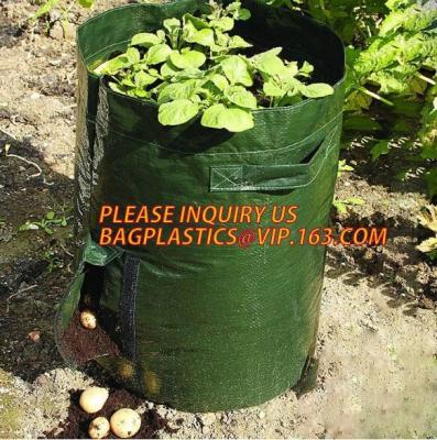 China UV resistant PE potato growing bag garden planter bags with Flap and handles,Flap and Handles Collapsible 10 gallons for sale