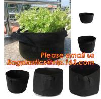 China fabric pots grow bag felt garden bag with handle,Hydroponic Grow Bag 1 Gallon Containers With Handle,Eco-friendly High q for sale