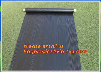 China Silver Black Perforated Plastic Mulch Film with Punch Hole,biodegradable perforated plastic mulch film,Perforated plasti for sale
