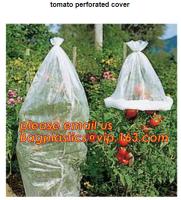 China Garden used tomato plastic film cover,high light transmittance solar control seeding nursery greenhouse covers,100% virg for sale
