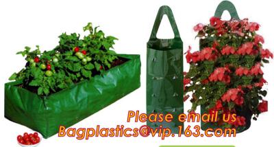 China Hanging Growing Strawberry Bags Planter, Vertical Wall Hanging Planters, Herbs, Succulents, Artificial Plants or Flowers for sale