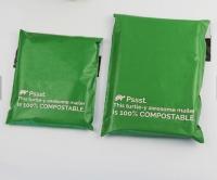 China Padded Bubble Mailing Bags Co ex Tear Resistant Poly Mailer Self Adhesive Bag, Plastic Express Courier Bag /Poly Mailer for sale