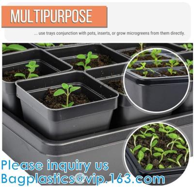 China Plastic Flower Pots, Water Cans, Garden Growing Trays with Drain Holes, Microgreens Seed Tray, Hydroponic Trays, Nursery for sale