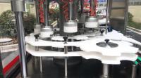 China Automatic Bucket Wet Wipes Capping Machine with Double-Head Servo Torque Control and Flexible Holder-Free Design for sale