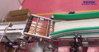 China Automatic Candy Bag Cartoning Machine with Multi-Lane Feeding and Servo-Controlled Cartoning for sale