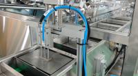 China Automatic Bagged Fertilizer Cartoning Machine with Horizontal Continuous Motion and Servo Product Infeed System for sale