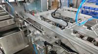 China Automatic Bagged Fertilizer Cartoning Machine with Horizontal Continuous Motion and Servo Product Infeed System for sale