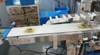 China Automatic Bearing Cartoning Machine with Servo Feeding and Industrial Packaging Automation System for sale