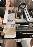 China SWL-120 Horizontal Continuous Cartoning Machine for sale