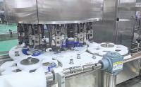 China Semi-Automatic Kerosene Lamp Filling Line with Robotic Case Packing | Flexible Liquid Packaging Solution for sale