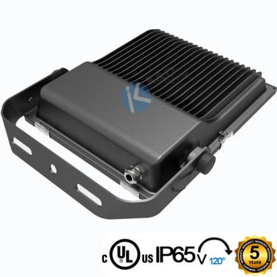 China IP65 Waterproof SMD LED Flood Light Wall Mounted 80Watt  120LM/W  SAA CE ROHS  LIST LED Flood Light for sale
