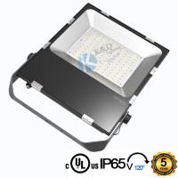 China High Power 100w LED Floodlight Wall Mounted Type With Toughened Glass for sale