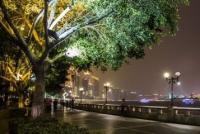 China Driver On Board Driverless LED Flood Light IP65 Outdoor With Long Lifespan for sale