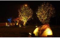 China Stable Hight Out Put 20W LED Security Light EPISTAR LEDs With 3 Years Warranty for sale