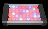 China Orpheus X1 150W LED Grow Lights Bar Alluminum Material 150w Actual Power CE Marked for sale