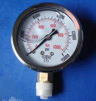 China High Strength Manometer Pressure Gauge 100mm 0-1000bar for Industrial Gas Measurement for sale
