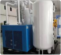 China PSA Nitrogen Generator Fully Automated 0-0.6Mpa Outlet Pressure 2600x950x2400mm for Food and Pharma for sale