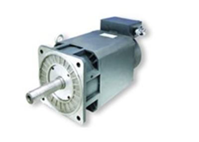 China IP54 Small Rotor Servo Motors And Drives , High Speed Ac Servo Spindle Motor for sale