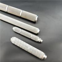 China SS316 Cartridge M65x2P Pleated Wire Mesh Filter Housing for sale
