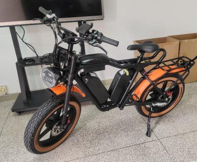 China 48V Doual Motor Fat Tire Bicycle with 48V 22Ah *2  Battery for sale