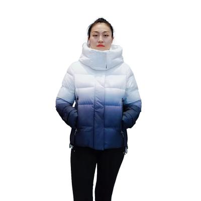 China FODARLLOY F21377 Ladies Warm Hooded Cotton-padded Clothes Women Slim Long Winter Jackets Women Coats for sale