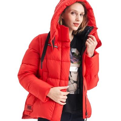 China FODARLLOY 2022 innovative products Warm Hooded Lady Thin Cotton-padded Jacket Women Coat Lightweight Luxury Down Foldable Jacket for sale