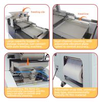 China DGAX Integrated Counting Pouch Packaging Machine Labeling Filling Functions Automatic High Productivity Easy Operate Food for sale