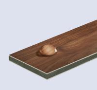 China Glossy Marble Veneer Anti Static Sound Absorbing Wpc Wall Cladding for sale