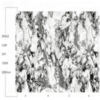 China Indoor Decorative 3D Wall Panel Moisture Proof Gym Pvc Cladding Internal for sale