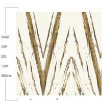 China Wear Resistant Interior PVC Wall Panel High Hardness High Gloss Premium Quality for sale