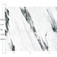 China High Gloss High Quality PVC Wall Panel Waterproof PET Material Wear Resistant for Villa Hospital Office for sale