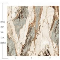 China Waterproof High Gloss PET PVC Wall Panel Premium Quality Wear Resistant For Hospital Office Use for sale