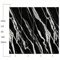 China High Gloss High Quality PVC Wall Panel Waterproof PET Material Wear Resistant For Hospital Office for sale