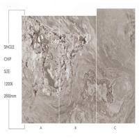 China Wear-Resistant Multi-Design PVC Wall Panel Waterproof Fireproof Living Room Decor for sale
