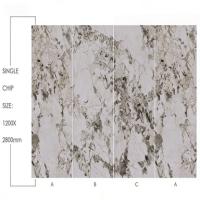 China Interior Wall Cladding PVC Panel Waterproof Fireproof Multi-Pattern Design for sale