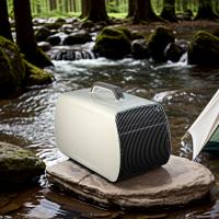 China Stylish  Portable Air Conditioner Fashion Matte Modern Interiors Decor for sale