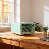 China AC 110V220V Minimalist Travel Offline Voice Refrigerant Cooling R290A Smart Air Conditioner for sale