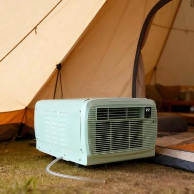 China Factory Mini AC Portable Air Conditioner with 110V 220V for Pet for sale