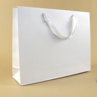 China Pure White Shopping Paper Bags with 250gsm FSC-Certified Paper and 3kg Weight Capacity for Luxury Garment Packaging for sale