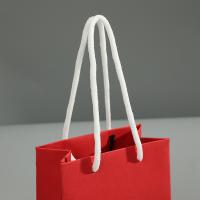 China Luxury Solid Color Paper Gift Bags with Custom Logo Rope Handles for Cosmetics Eco Friendly Packaging for sale