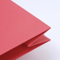 China Customizable Pantone Colors For Skincare And Clothing With Skin Feel Shopping Gift Bags for sale