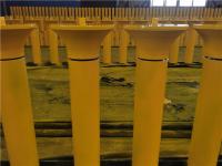 China ODM Double Row Self Aligning Conveyor Roller SS304 Vacuum Sealed for sale