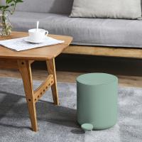 China Modern Living Room Organizer Step On Garbage Can With Soft Close for sale
