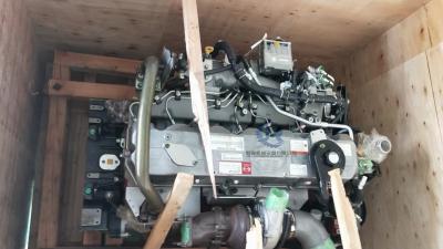 China P11C-UP Diesel Engine Assembly  , OEM Hino P11C Engine Parts for sale