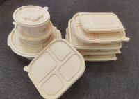 China Disposable Biodegradable Fast Food Box Machine Fully Automatic for sale