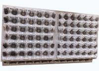 China Machine Thermoforming Mould Design Egg Tray Mold Making Blister Packaging for sale