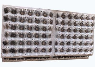 China Machine Thermoforming Mould Design Egg Tray Mold Making Blister Packaging for sale