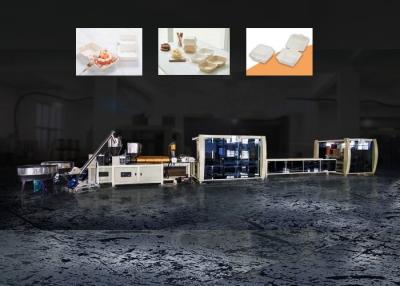 China PBAT PLA Burger Box Making Machine Manufacturers Novel for sale