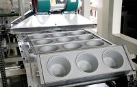 China Innovative One Step Sheet Extrusion Blister Tray Making Machine Integrated for sale
